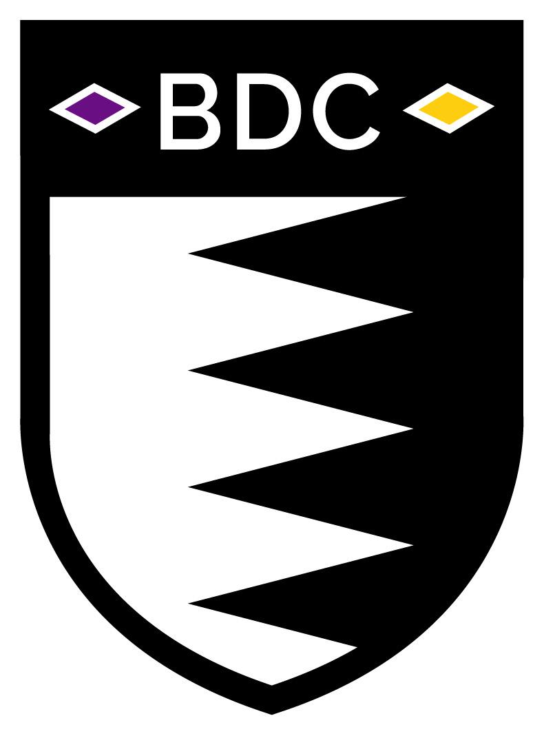 Sjo Dvc Logo SJO DVC JO13 2 Najaarskampioen Eemskrant.nl | Nieuws